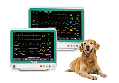 VM-10 Veterinary ETCO2 Monitor